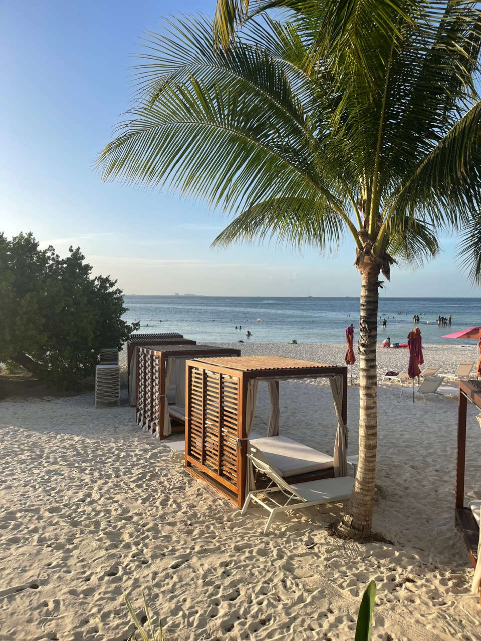 Discovering The Magic